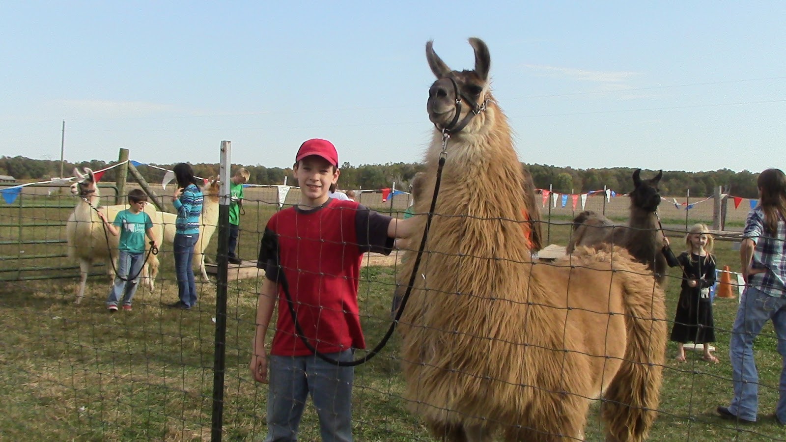 SONset Academy: OCTOBER FIELD TRIPS: Shooting Range, Llama Farm, and ...