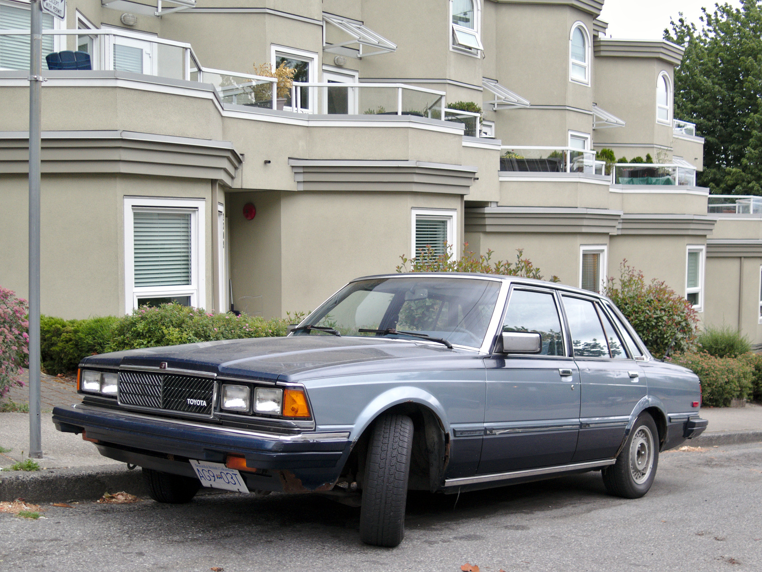 Old Parked Cars Vancouver: 1982 Toyota Cressida
