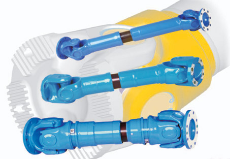 Cardan Shaft ~ Rule The World