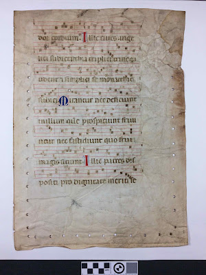 PZ CONSERVATION: Using Expandable Polyester Hinges to Mount a Double ...