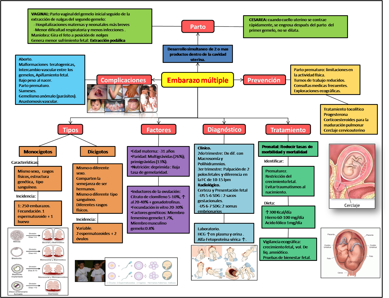 Blog de Ginecología.: Embarazo multiple.