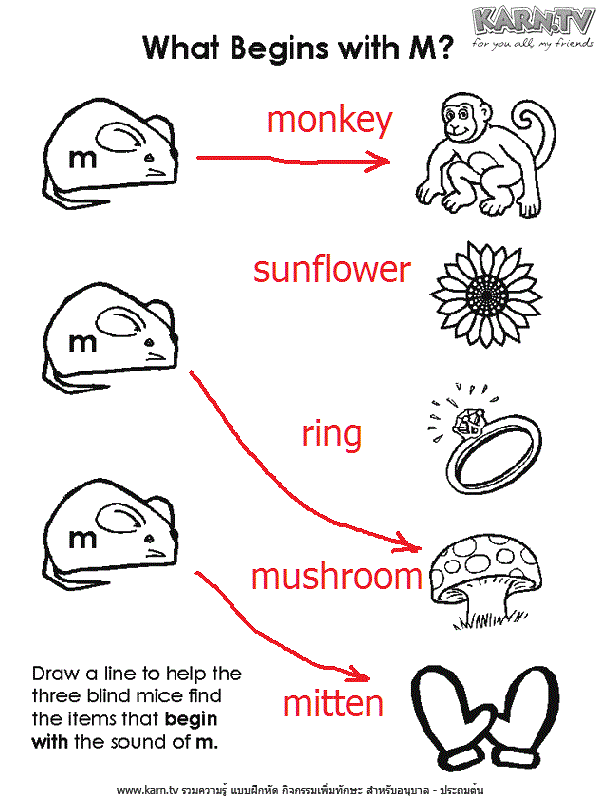 การออกแบบและการจัดการเรียนรู้