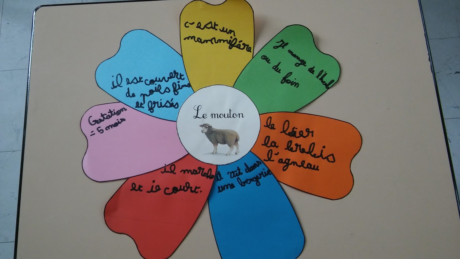 Delfynus - Une maitresse qui vous veut du bien: Projet sur les animaux ...