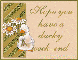 Reflections from Bon Bon Pond: Warm Wishes for a Wonderful Weekend!