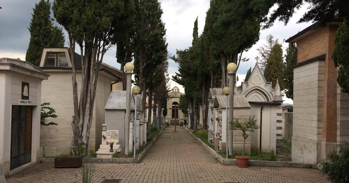 Fortify Your Family Tree: Finding Relatives in Your Ancestral Hometown ...