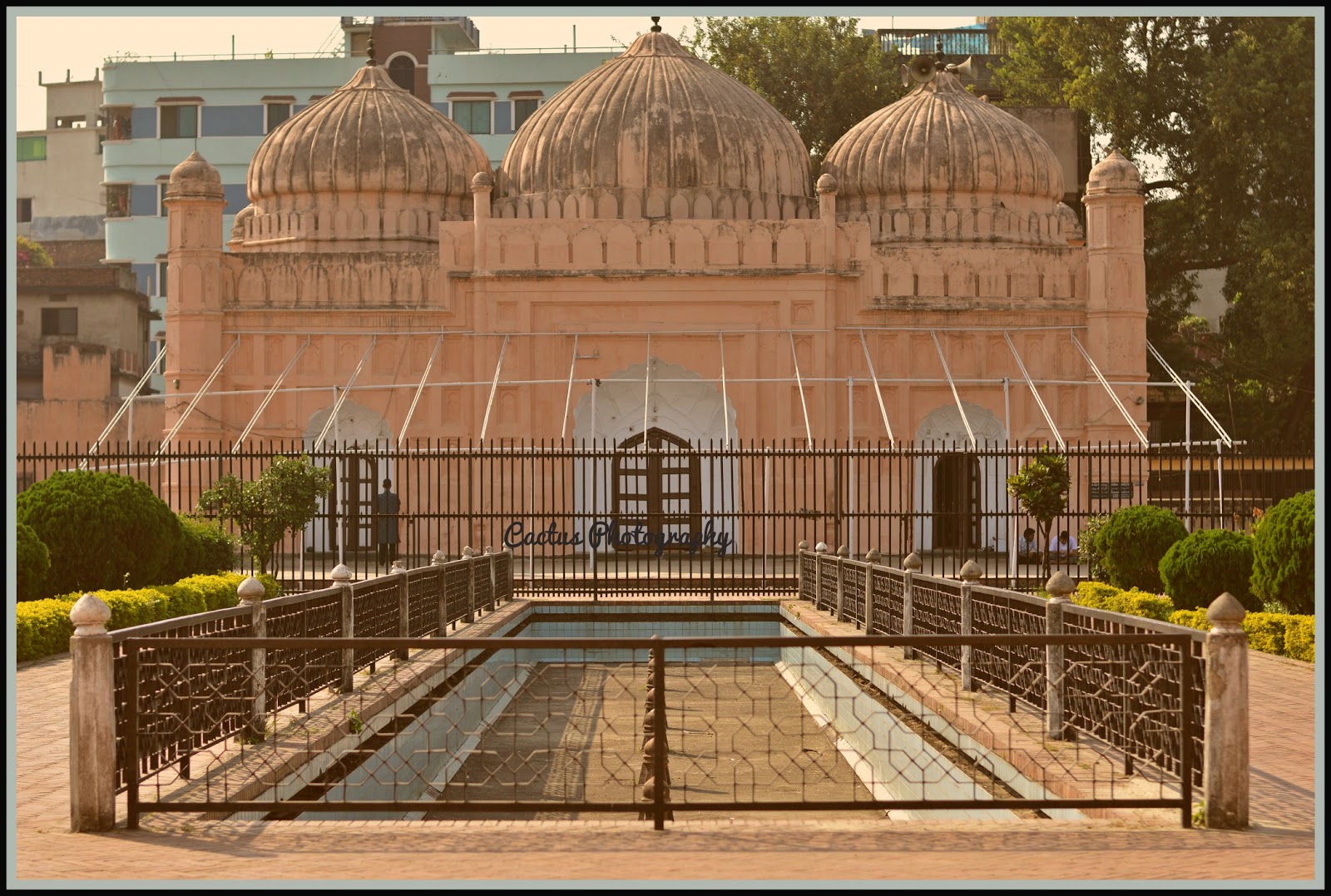 Traditional Foods and Life of Old Dhaka City | Trip Navigation Bangladesh