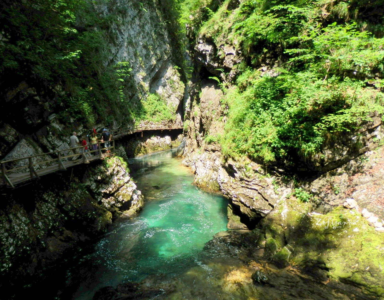 Z rakiem w tle: Dober dan