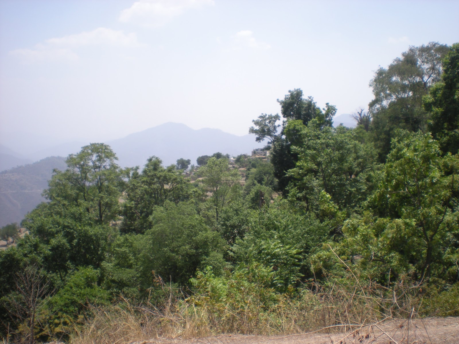 TOURIST PLACE IN INDIA: Pauri Garhwal