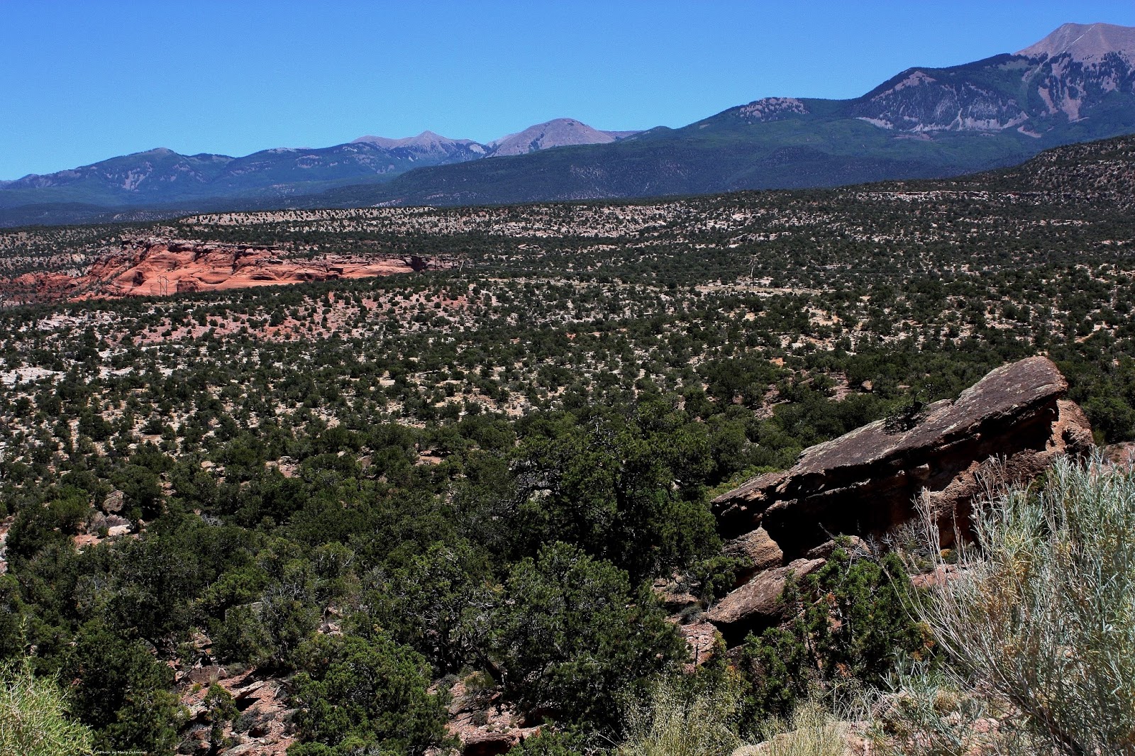 The Southwest Through Wide Brown Eyes: Rock Crawling Around Black Ridge.