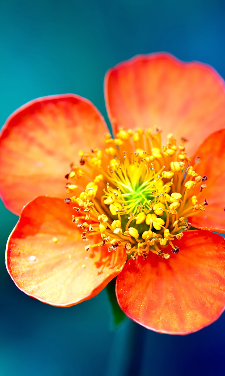 45 Best BlackBerry Z10 Wallpapers - BlackBerry 10 Wallpapers