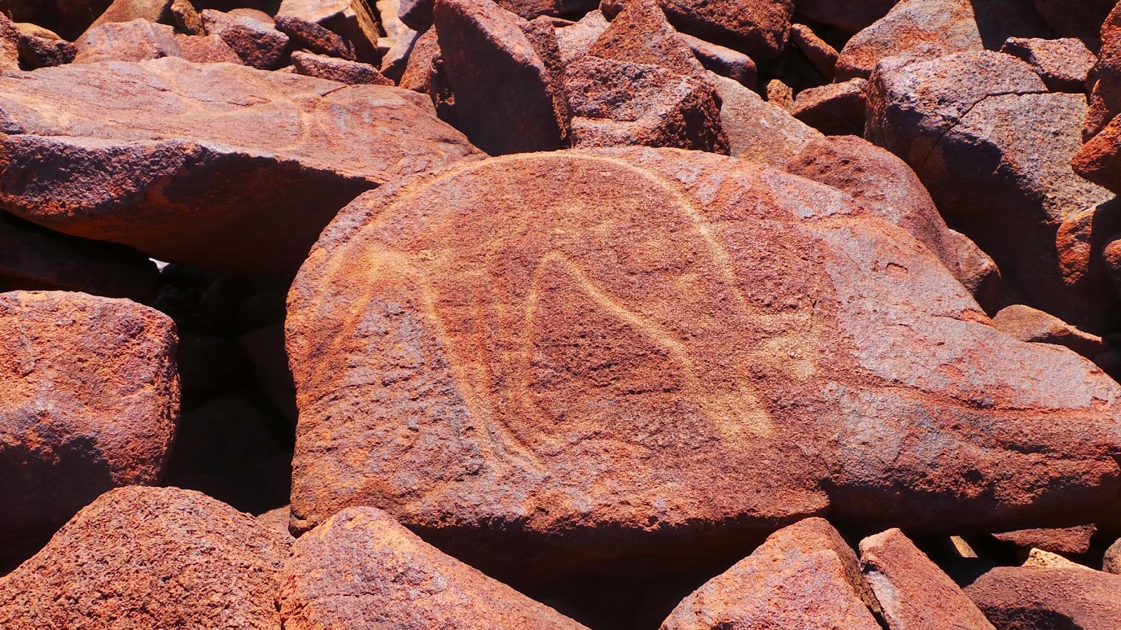 Johnstons Tour Aus: Burrup Rock Art & Hearson Cove