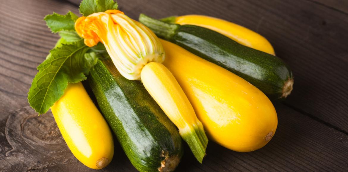 Maraîchage en Ville: Délicieuses courgettes