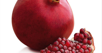 Advantages of Anaar - Media Patra