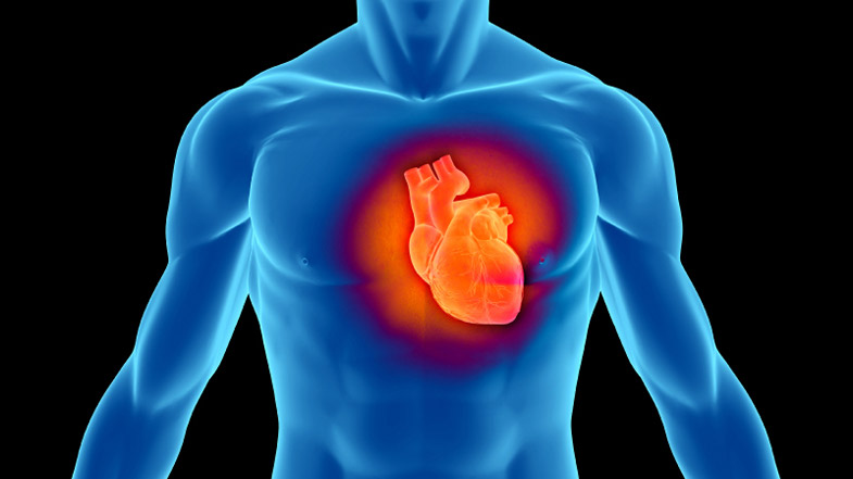 The Storyteller: Heart Attack Symptoms, Overview & First Aid