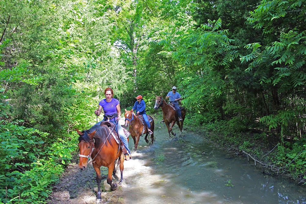 Dallas Trinity Trails: Horseback Riding The Trinity River