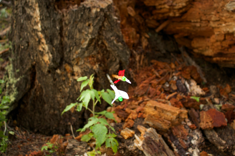 Project Gridless: An Archer's Guide to Stump Shooting