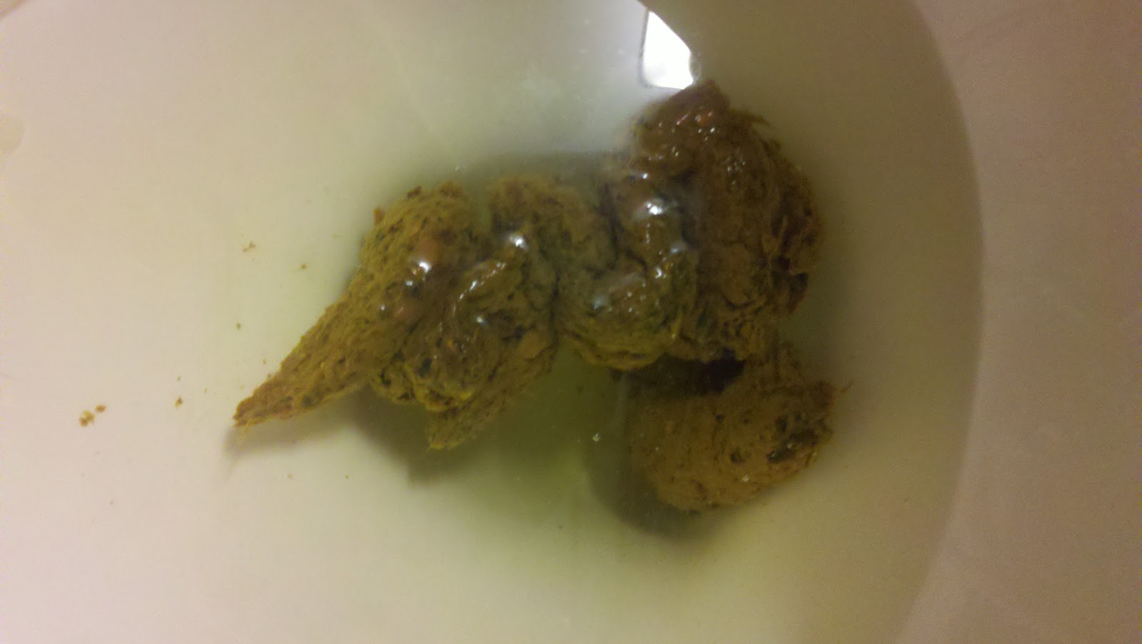 My Daily Poo: 2011