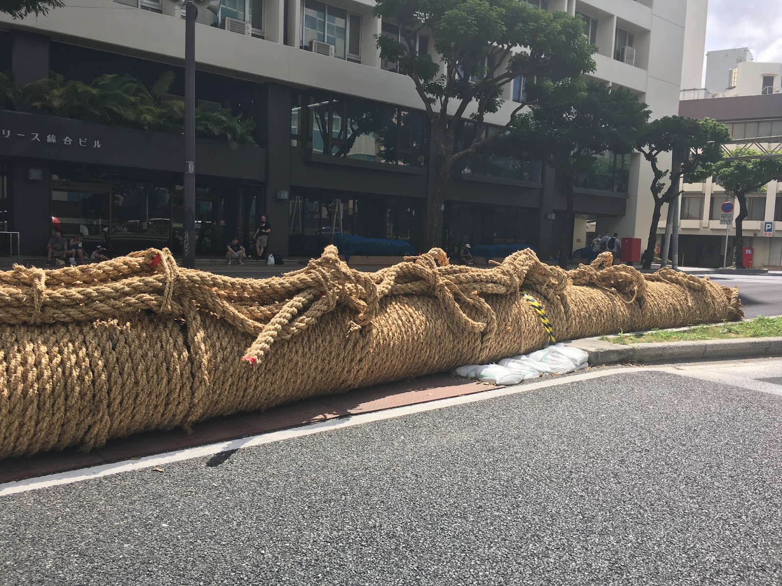 World's Largest Tug of War in Okinawa! ~ Life with the Lokeys