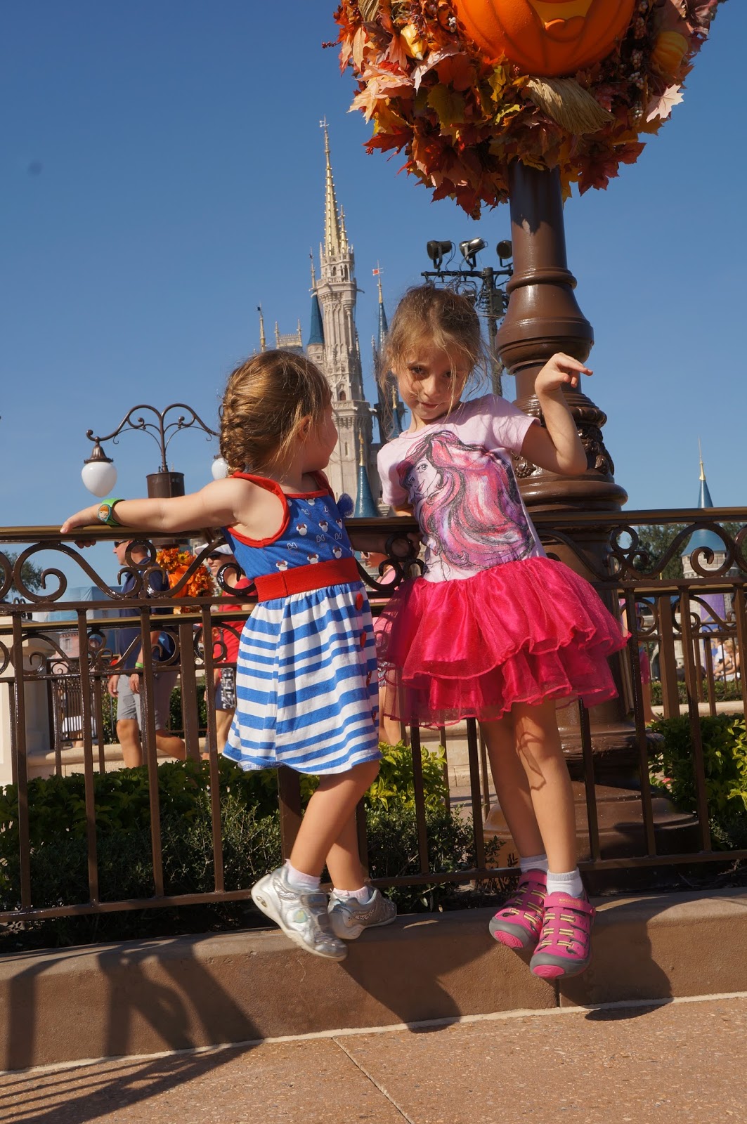 Disney Day Tripper!: Pictures!