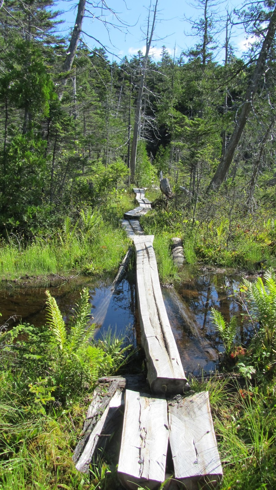 Tomcat's Outdoor Adventures: Barren-Chairback Marathon Hike