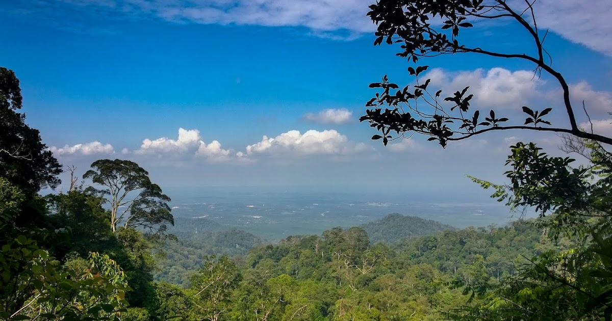 Inilah 11 Gunung Terbaik Di Johor Untuk Pendaki Gunung