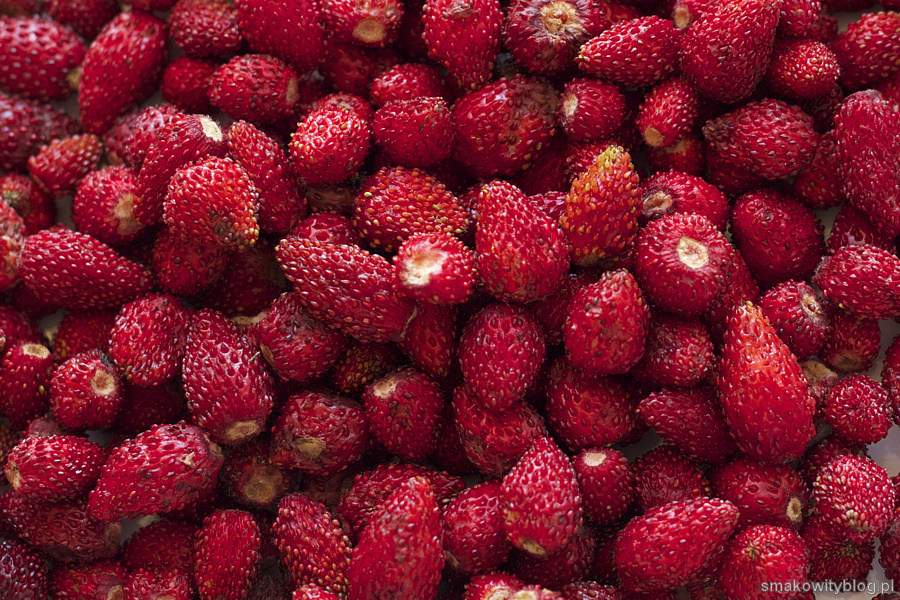 Poziomka pospolita - Smakowity blog