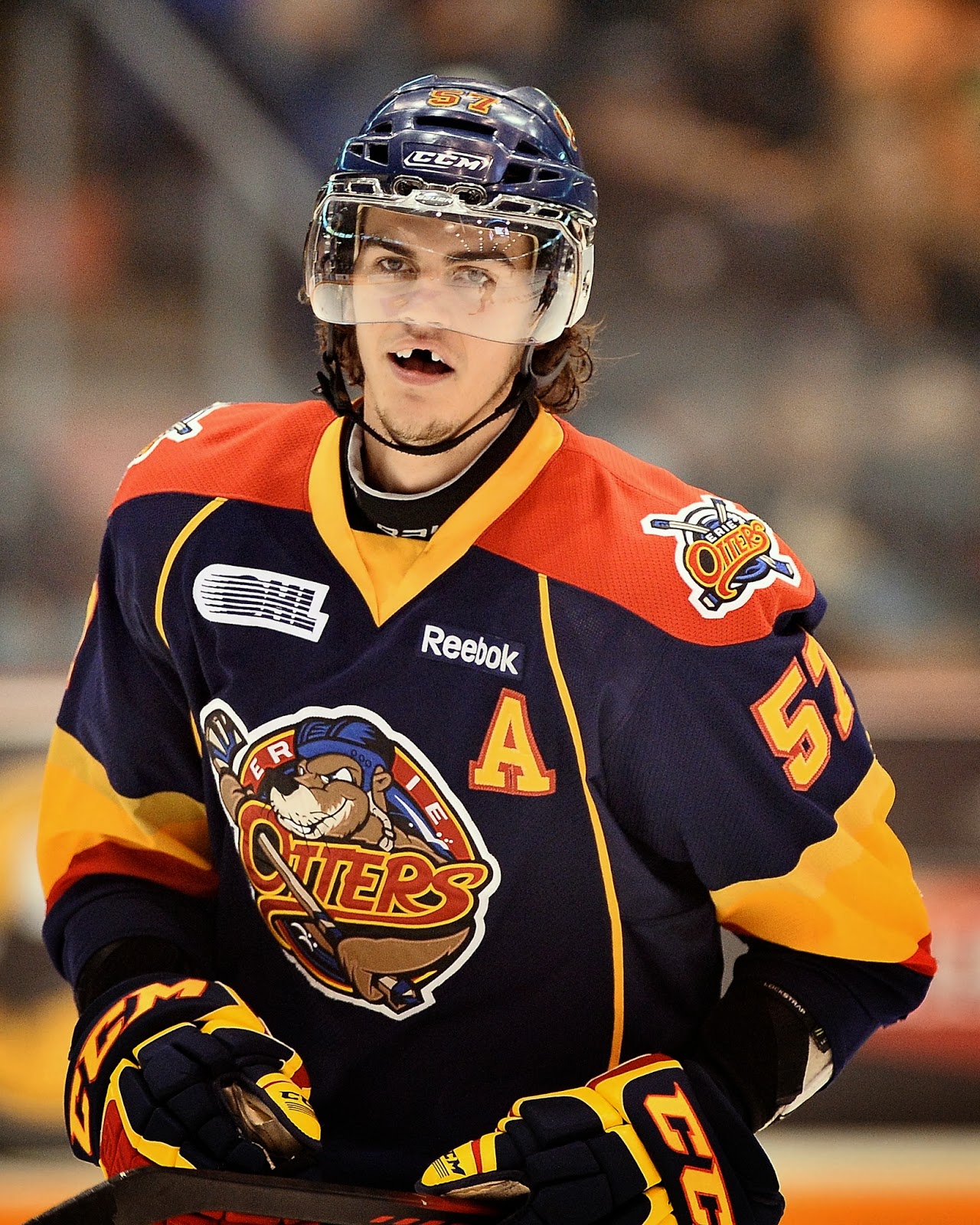 The Prospect Park: November 17, 2013