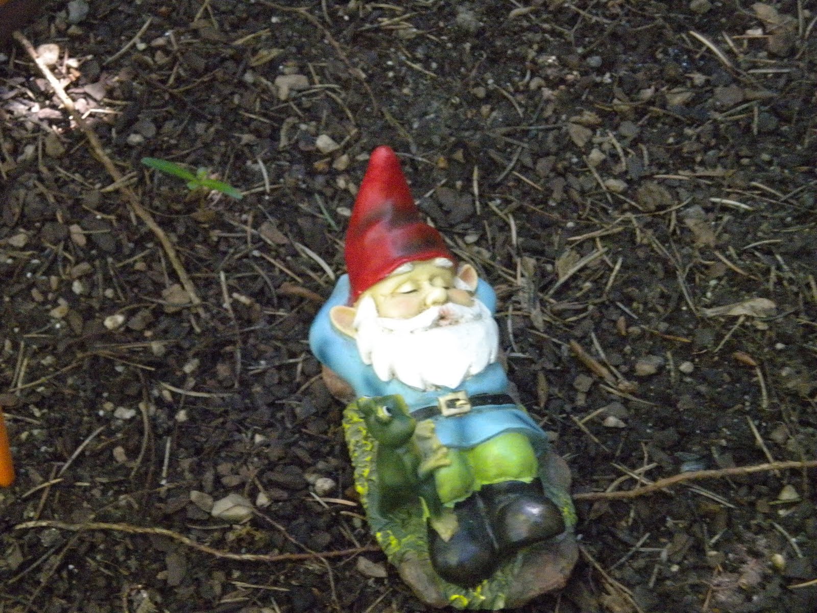 The Stringham Scuttlebutt: Ballet Camp