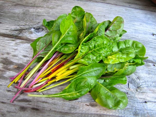 Diane Carnevale: Baby Swiss chard