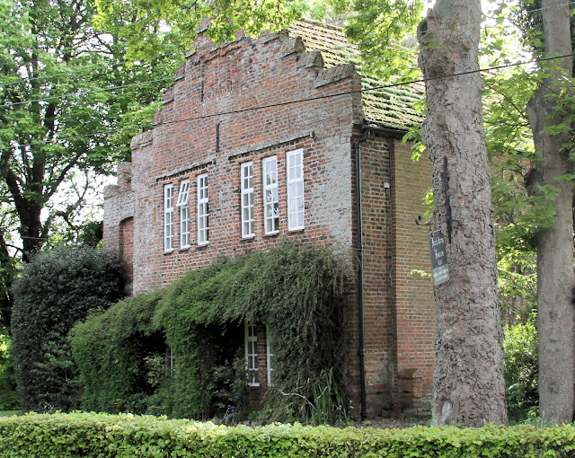 Birding with Flowers: Tolkien's Hemlock Glade, Part 2