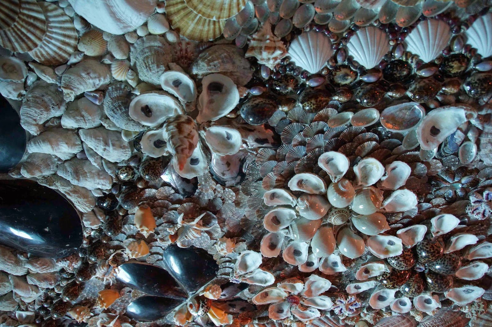 The Local Neighborhood Shell Grotto