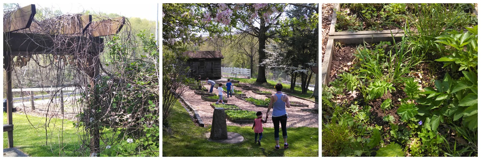 Pgh Momtourage: In Review: Round Hill Park + Exhibit Farm