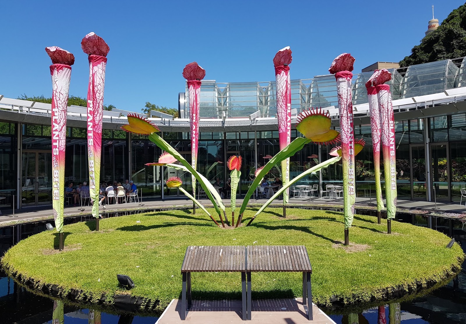 Sydney - City and Suburbs: Botanic Gardens, The Calyx