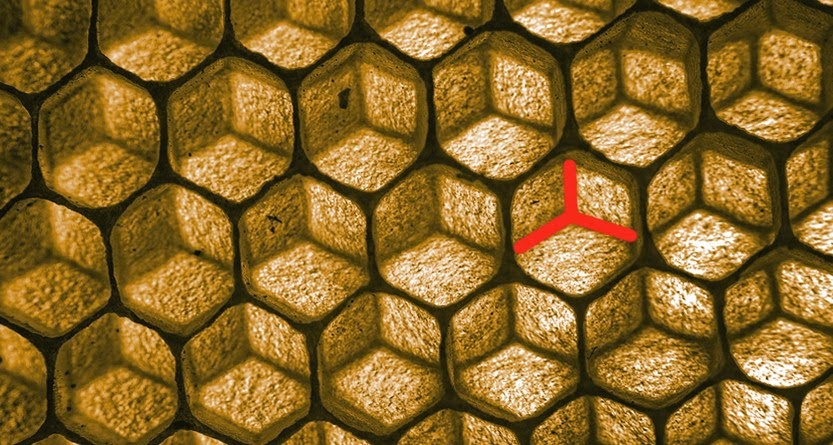 Νέα μέθοδος διάταξης των πλαισίων κατα Housel : Υπόσχεται να κάνει την ...