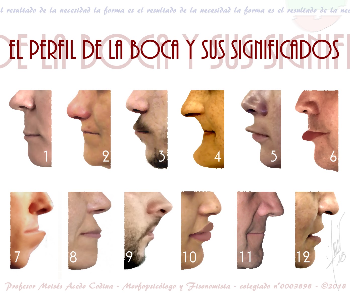 Moisés Acedo Codina: PERFIL DE LA BOCA: DIFERENTES FORMAS Y SIGNIFICADOS