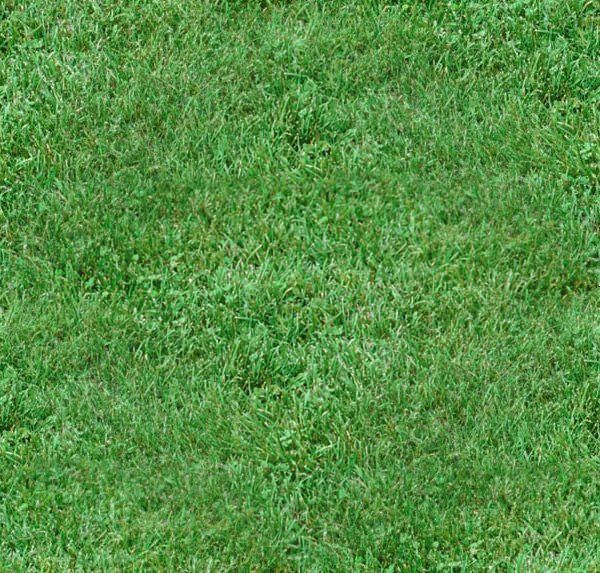 maygunrifanto: Material Render ( Rumput )