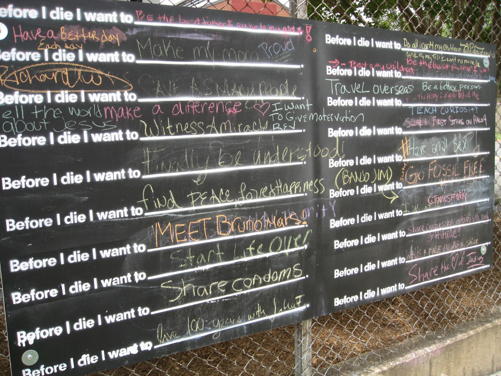 Bonz Blogz: Before I die: Chalkboard