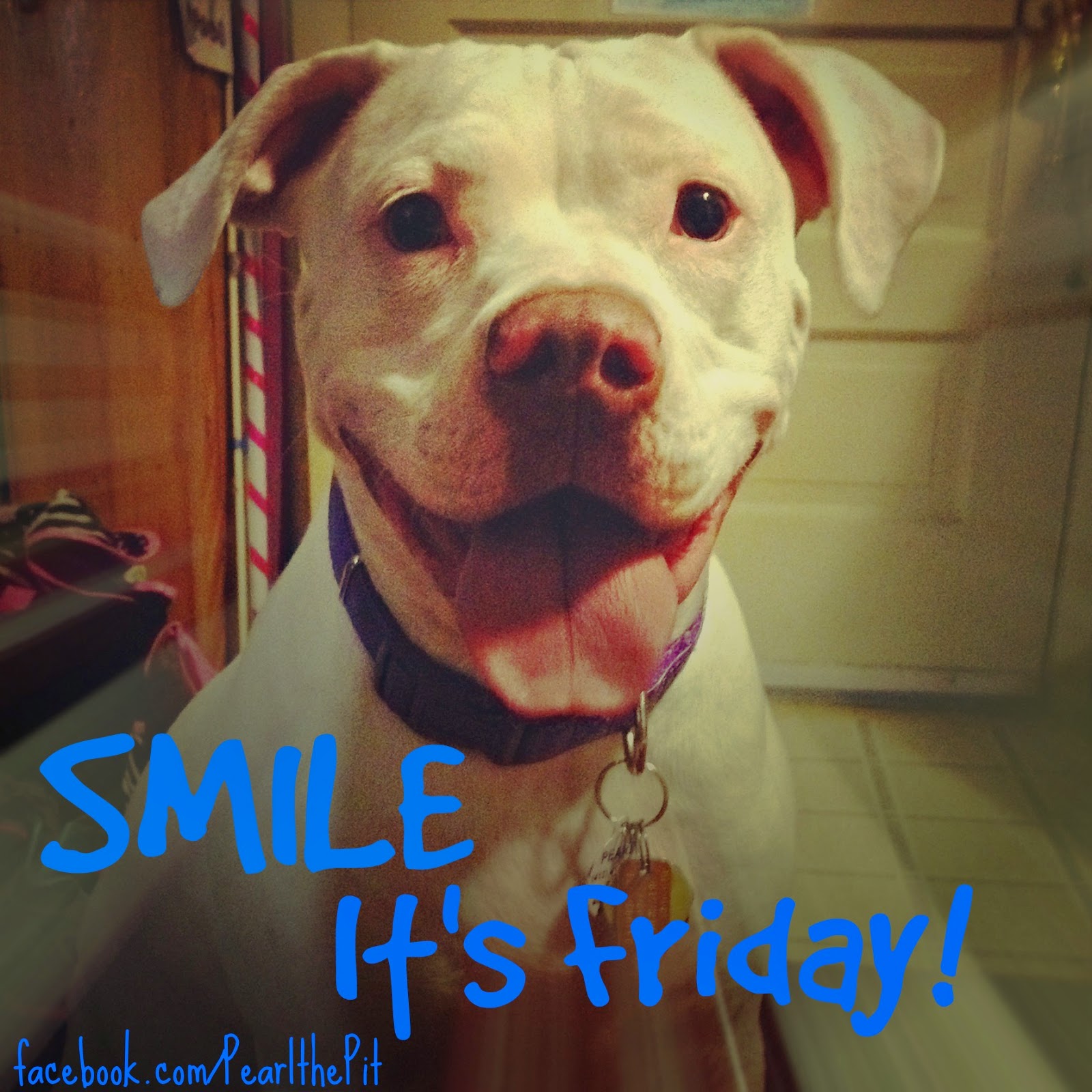 Posh. Frugal. Chic.: Chance to win free Kellogg's Family Reward Points!