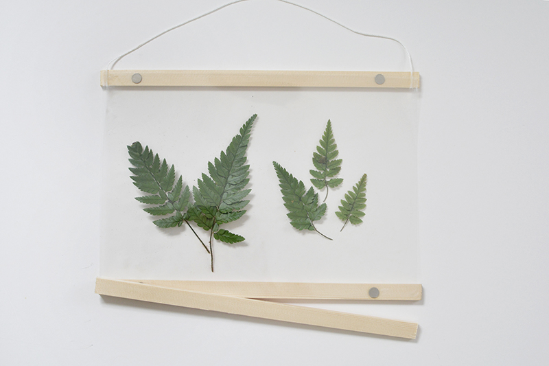 DIY botanical picture frames — Caroline Burke | Burkatron