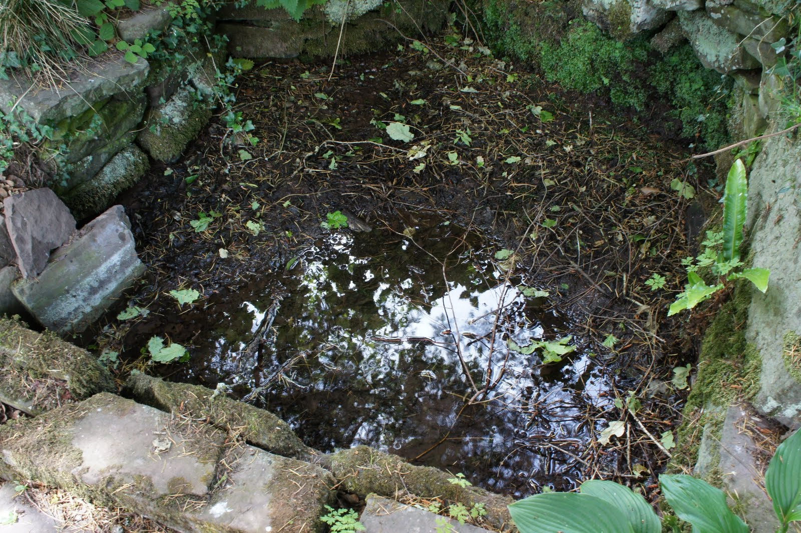 Mary in Monmouth: Some Enchanting Welsh Holy Wells around Brecon ...