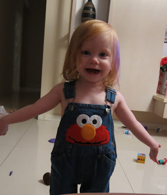 Life in the Big Chicken: Split Pants