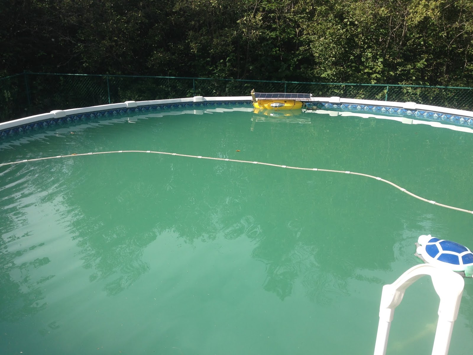Dear Dev Diary Dirty Pool Turbidity Testing dear-dev-diary-dirty-pool-turbidity-testing
