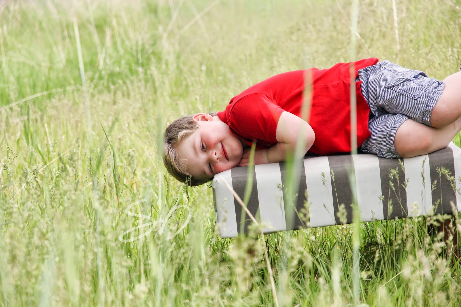 Sugarbee Photography : the dallman boys