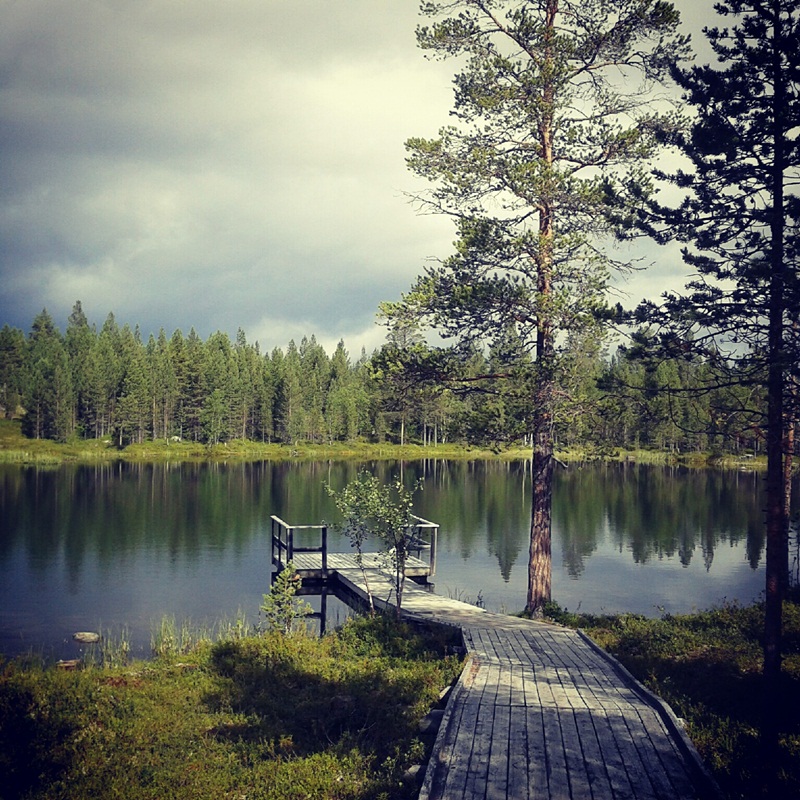 MicroCosmos: insta Finland