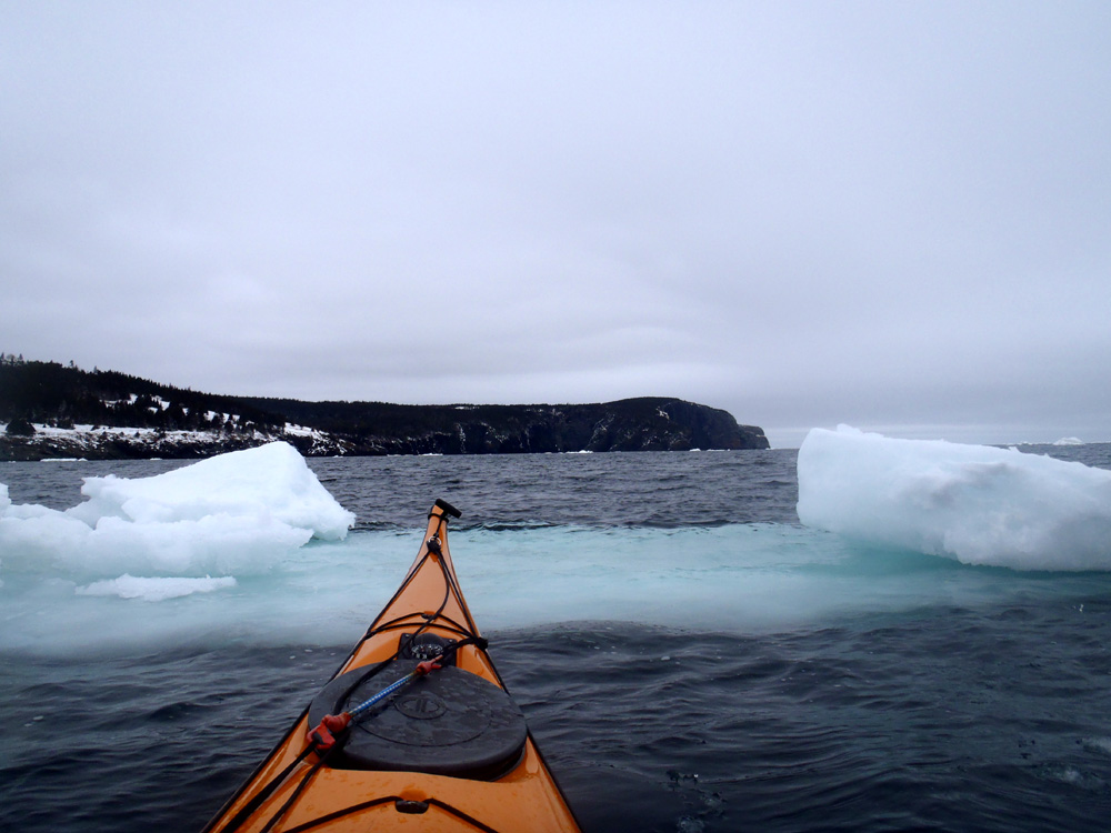 My Newfoundland Kayak Experience: Pack ice paddle