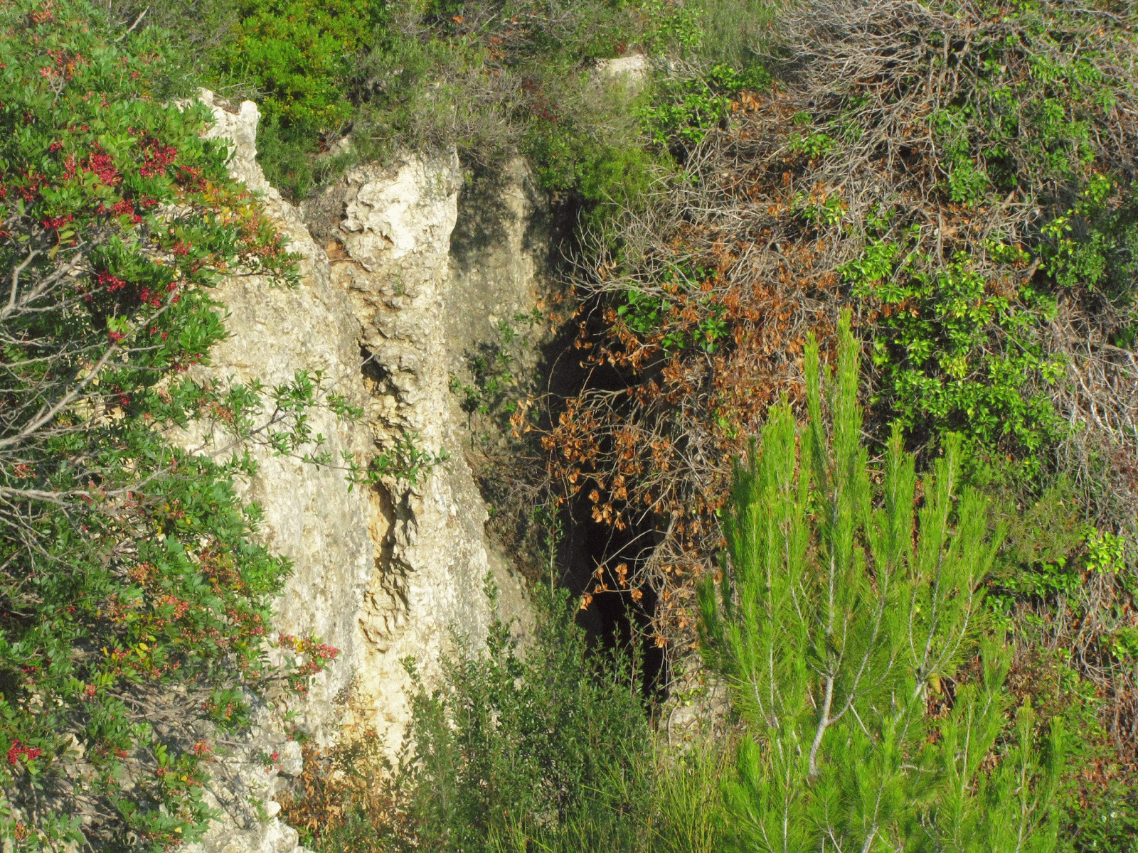 Roques i minerals: Roques calcàries