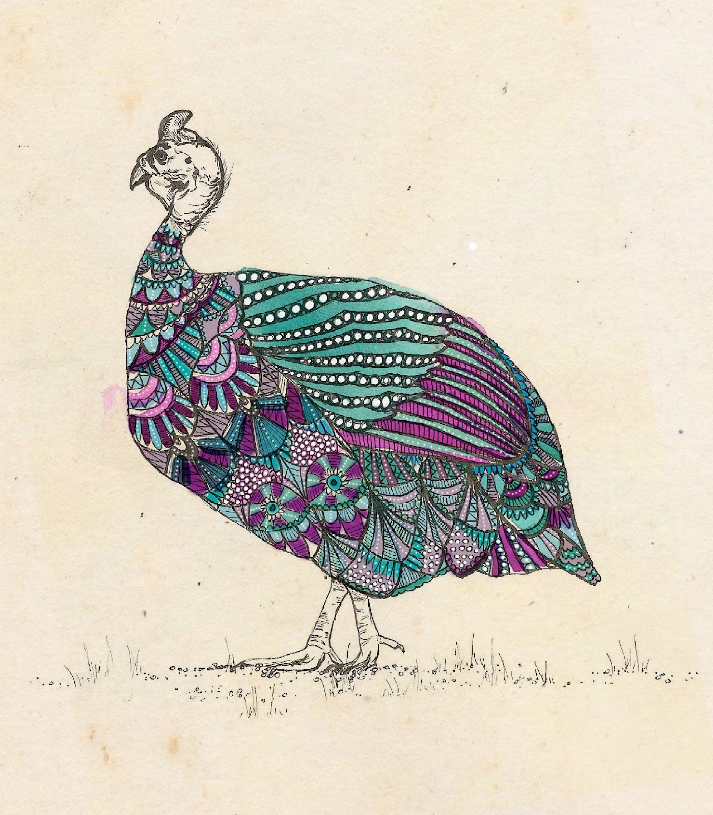 Emily Hamilton Illustration: Shopping & guinea fowls