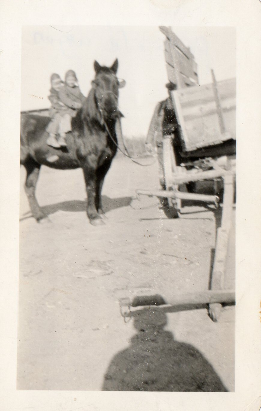 Pictures of Our Ancestors: Kenneth Eugene Busig 1926 - 1972, World War ...