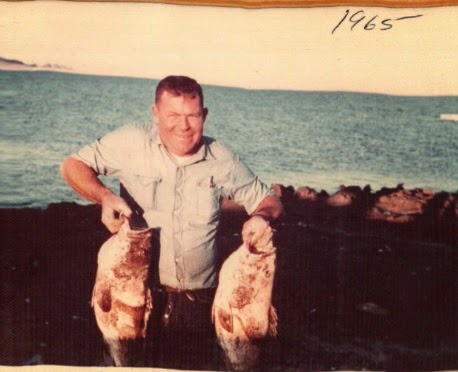 Harrison Histories: Audrie Grady Harrison