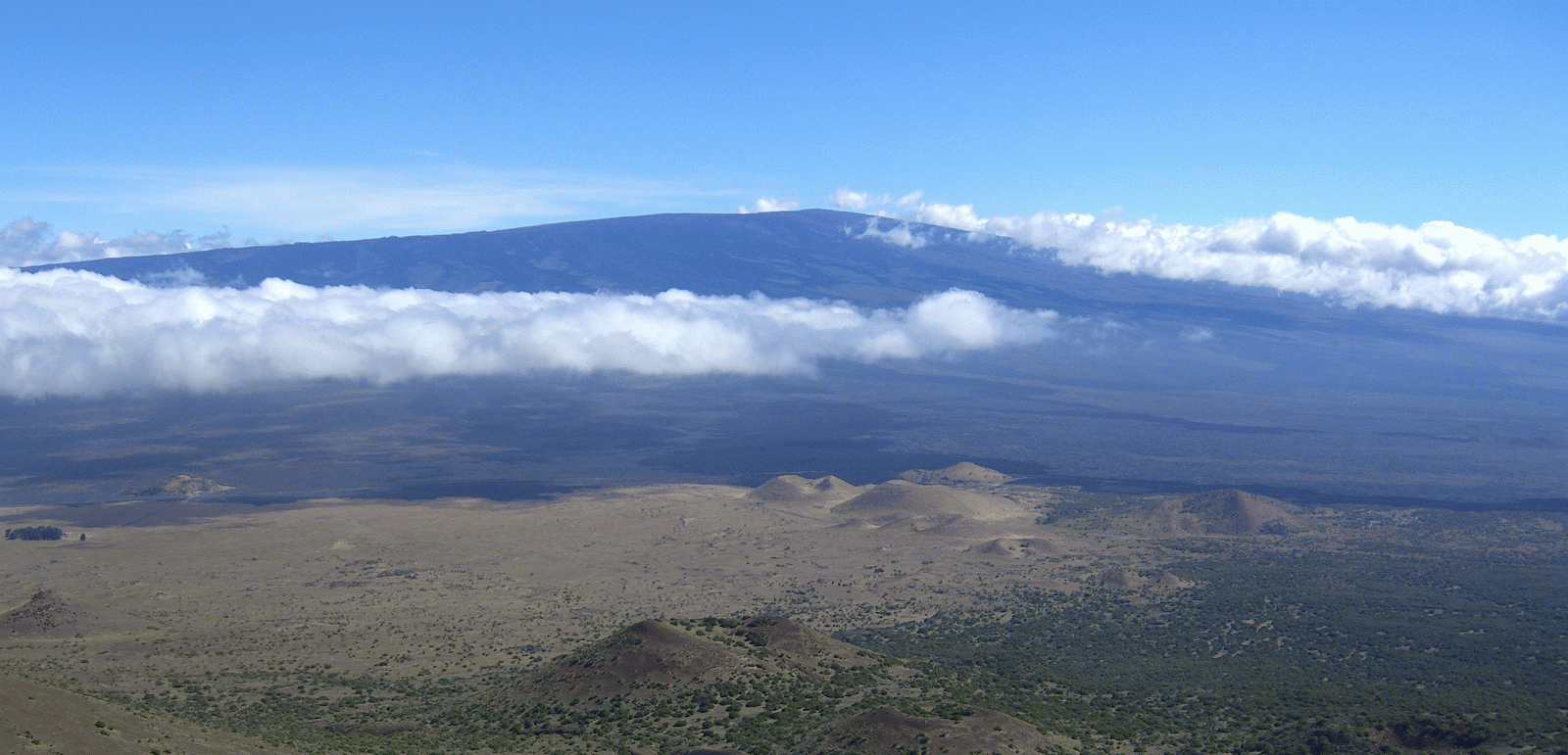 Tamu Massif - Largest Volcano on Earth? ~ Hudson Valley Geologist